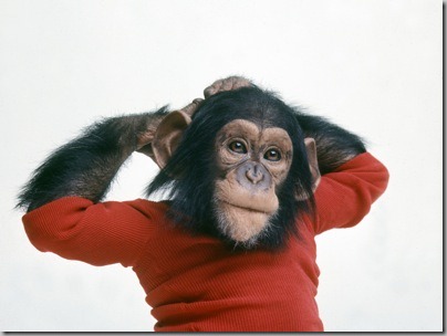 DEWEY FROM DETROIT: Project Nim: the Documentary